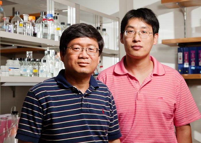 Team identifies new breast cancer tumor suppressor and how it works ...