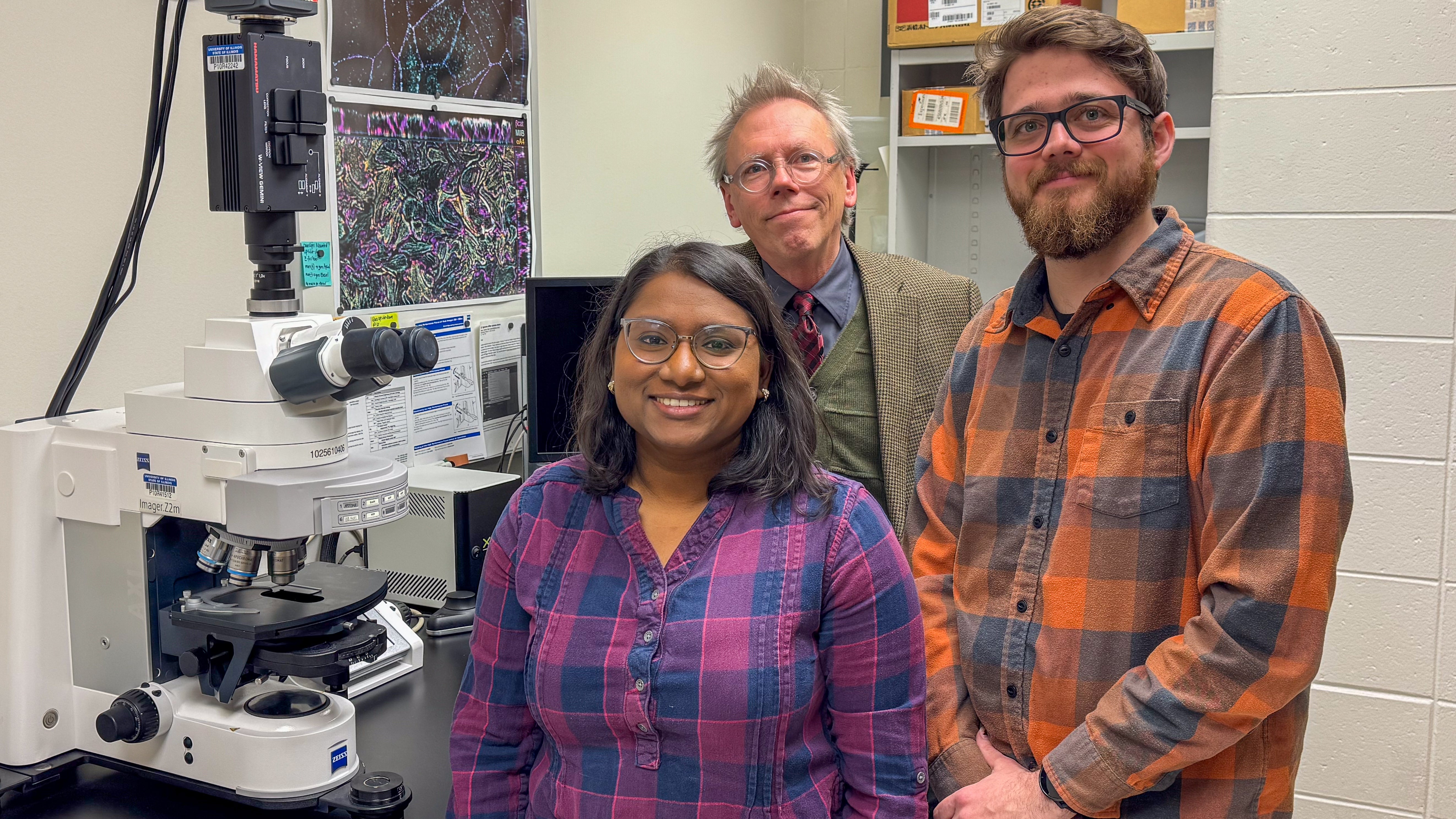 MCB researchers unveil new actin filament behavior in the cellular ...