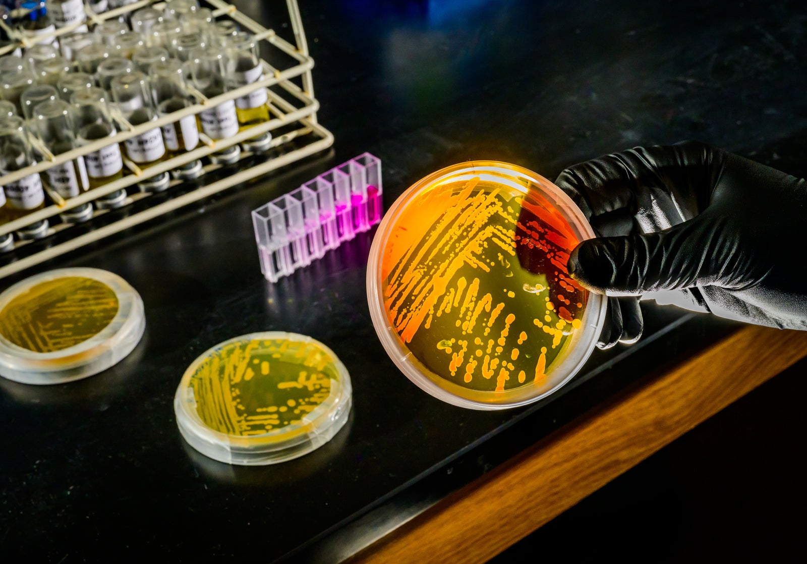New study finds deep ocean microbes already prepared to tackle climate ...
