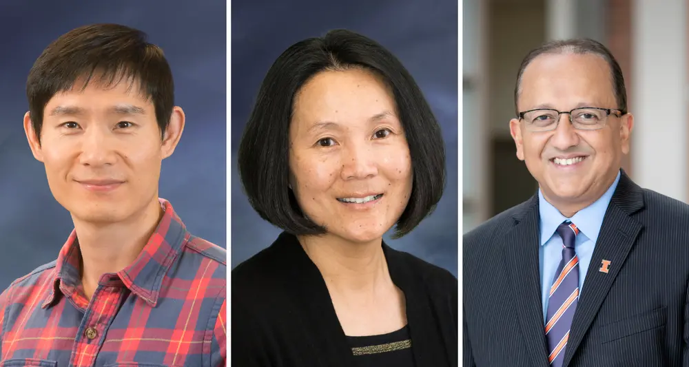 Research sheds light on molecular pathway driving muscle weakness in ...